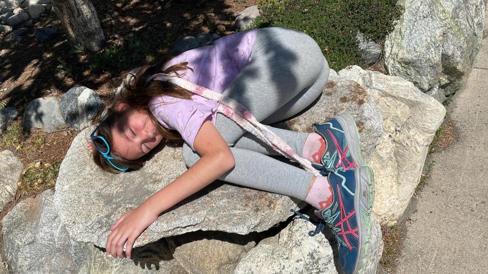 Albany Scavenger Hunt | Travel Buddies