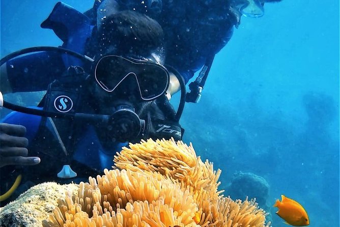 Boat Scuba Diving at Neil Island | Travel Buddies