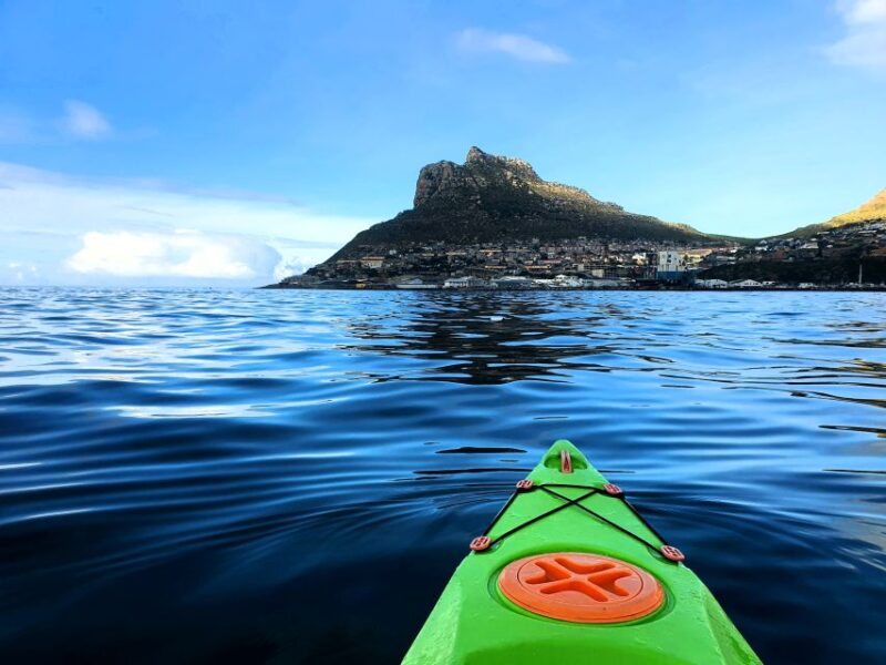 Cape Town: Guided Kayaking in Hout Bay | Travel Buddies