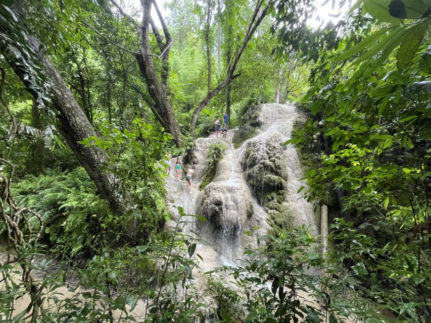 Chiang Mai: Enjoy Climbing Sticky Waterfall | Travel Buddies