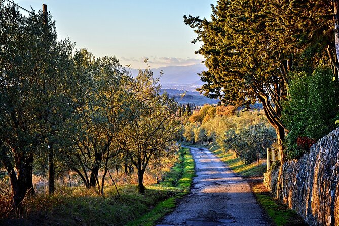 Chianti Day Trip From Florence | Travel Buddies