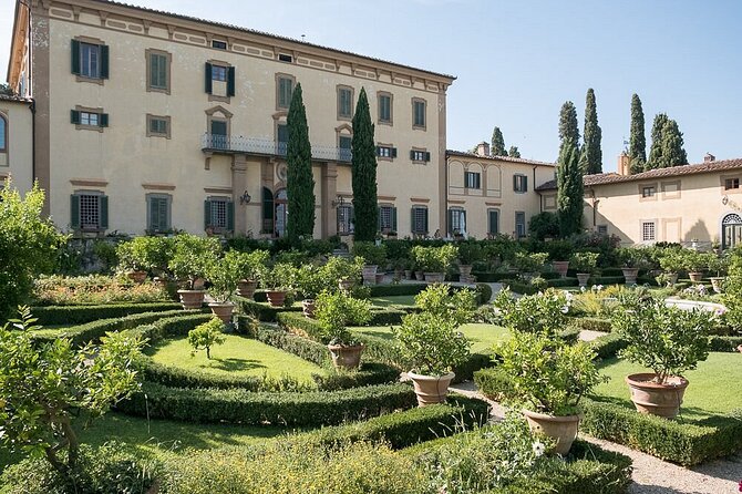 Chianti Tour on Road 222, and Visits to Chianti Wineries | Travel Buddies