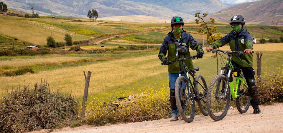 City Tour in Bicycle | Travel Buddies