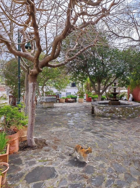 Cretan Traditional Village Assites, with food and drinks | Travel Buddies