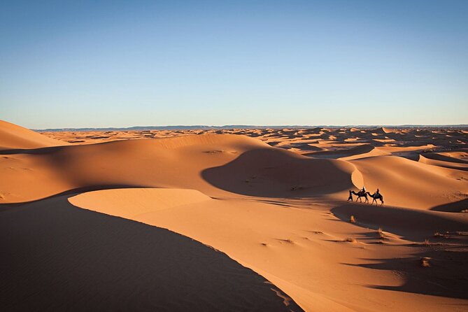 Desert Dreams: a 3-Day Adventure From Marrakech to Chegaga Dunes ...