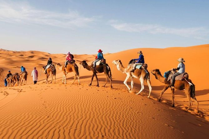 Desert Dreams Marrakech to Merzouga 3-Day Adventure | Travel Buddies