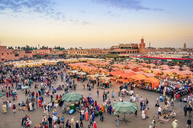 Discover Marrakech: Vibrant Explorer Tour | Travel Buddies