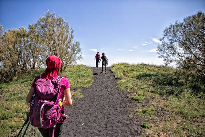 Etna Family Tour Excursion for Families With Children on Etna | Travel ...