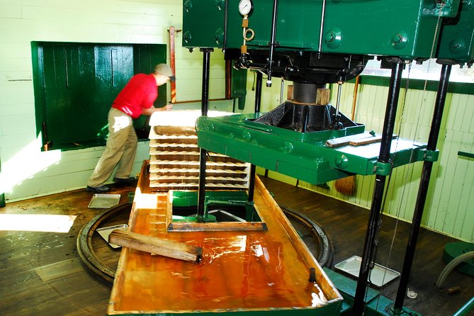 Fly Creek Cider Mill & Orchard - Private Tour With Owner | Travel Buddies