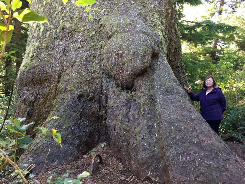 From Portland: Oregon Coast Day Trip to Three Capes Loop | Travel Buddies