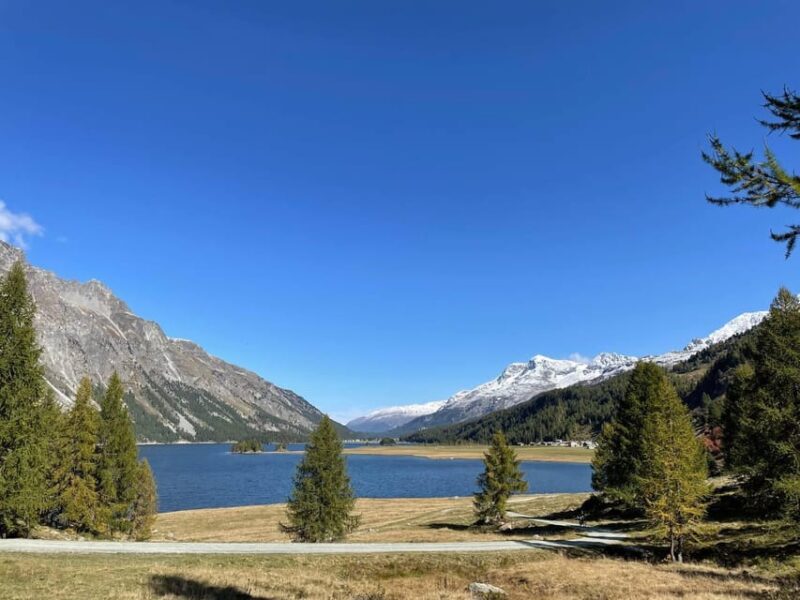 From Zurich: Private Day Trip to St. Moritz | Travel Buddies