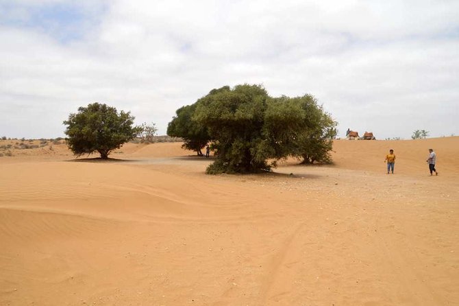 Full Day to Small Desert From Agadir | Travel Buddies