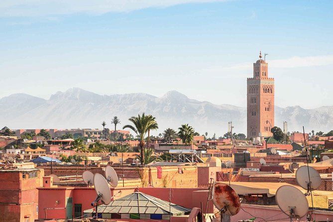 Full Day Tour of Medina | Travel Buddies