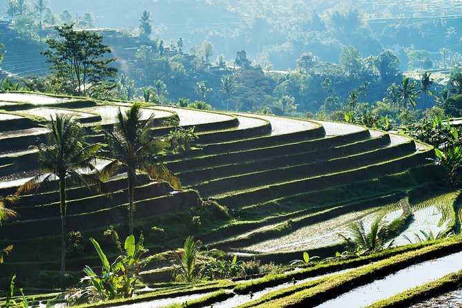 Full-Day Tour to Water Temples and UNESCO Rice Terraces in Bali ...