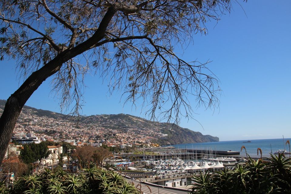 Funchal: Private Tour With a Local Guide | Travel Buddies