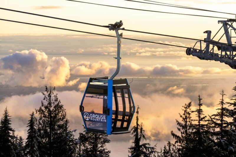 Grouse Mountain, Capilano Bridge & Fish Hatchery Tour | Travel Buddies