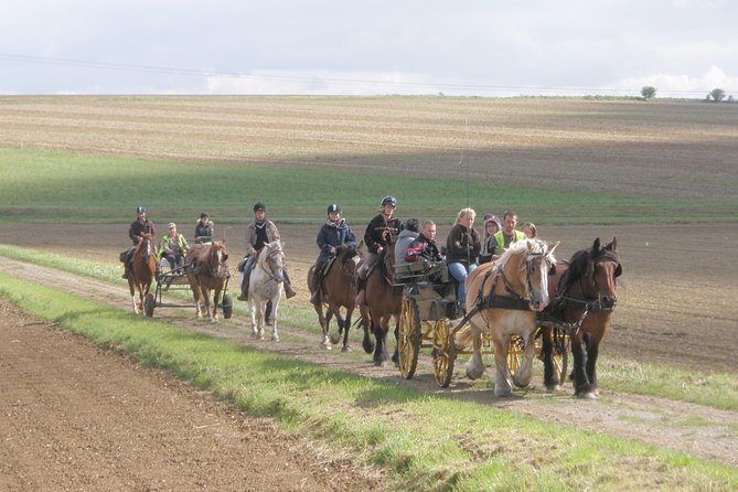 Horse Riding in the French Countryside | Travel Buddies