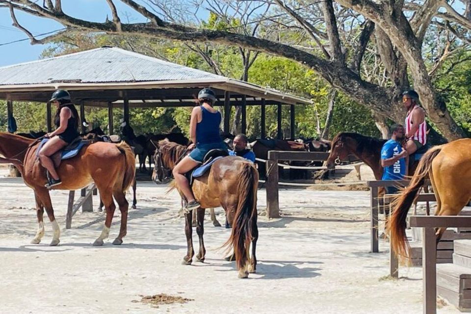 : Horseback Riding & Bamboo Rafting | Travel Buddies