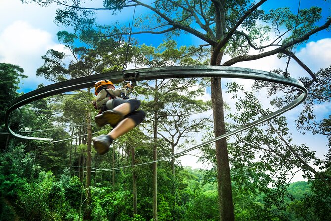 Jungle Flight Zipline Roller Coaster | Travel Buddies