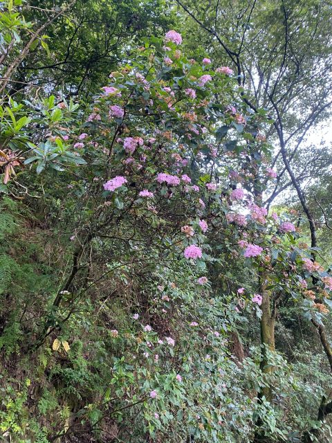 Kakani Day Hike | Travel Buddies