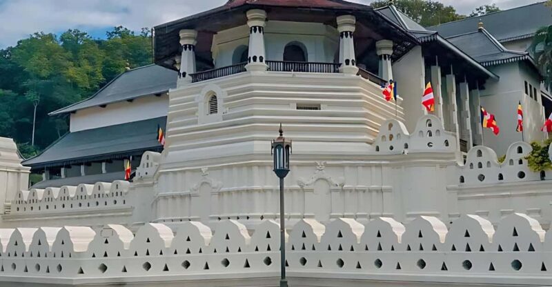 Kandy & Pinnawala Elephant Orphanage Day Tour From Colombo | Travel Buddies