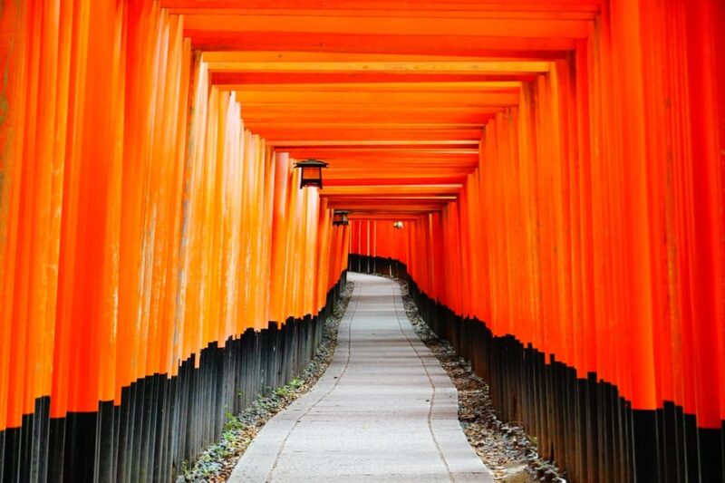 Kyoto: Private Full-Day Tour by Car | Travel Buddies
