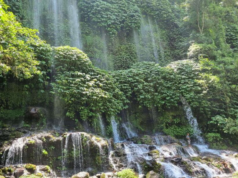 Lombok: Waterfall and Traditional Village Private Tour | Travel Buddies