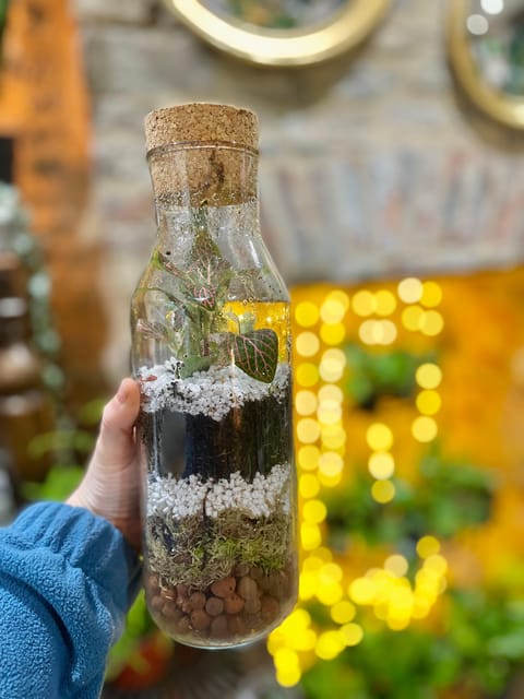 Make Your Own Terrarium in a houseplant paradise | Travel Buddies
