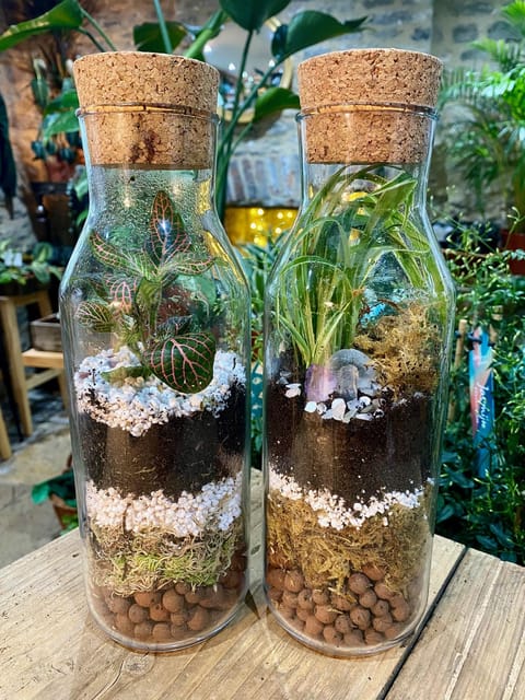 Make Your Own Terrarium in a houseplant paradise | Travel Buddies