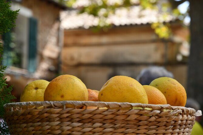 Mallorca Instafamous WEST: Valldemossa, Wine Experience and Palma ...