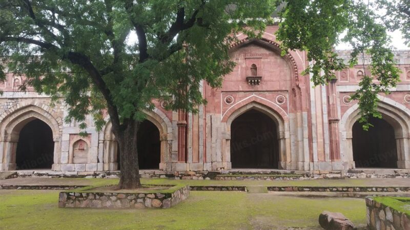 Mehrauli Archaeological Park Walk | Travel Buddies