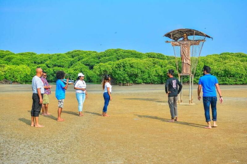 Negombo Lagoon (Mangrove ) Boat Excursion | Travel Buddies