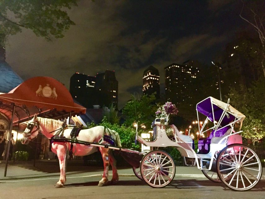 New York: Carriage Ride in Central Park | Travel Buddies