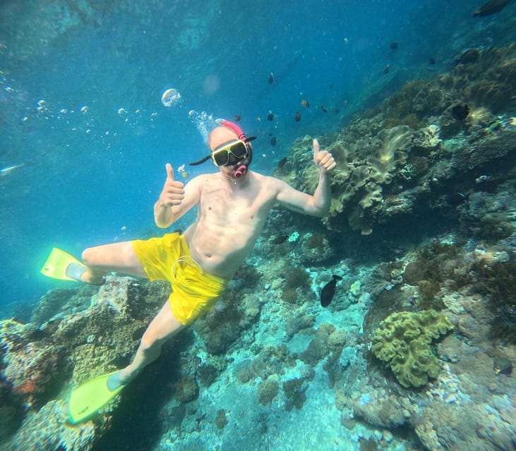 NUSA PENIDA :Snorkling Activities to Manta Point | Travel Buddies