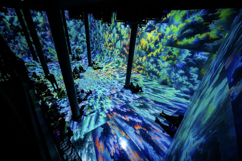 NYC: ARTECHOUSE Immersive Art Experience Entrance Ticket | Travel Buddies
