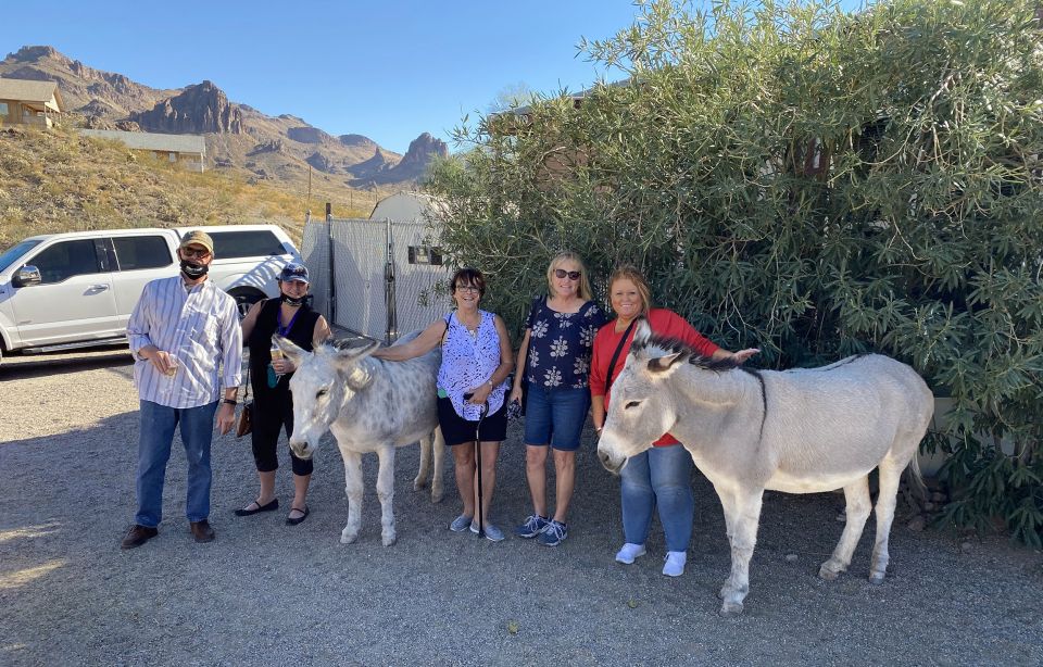 Oatman Mining Village: Burros/Route 66 Scenic Mountain Tour | Travel ...