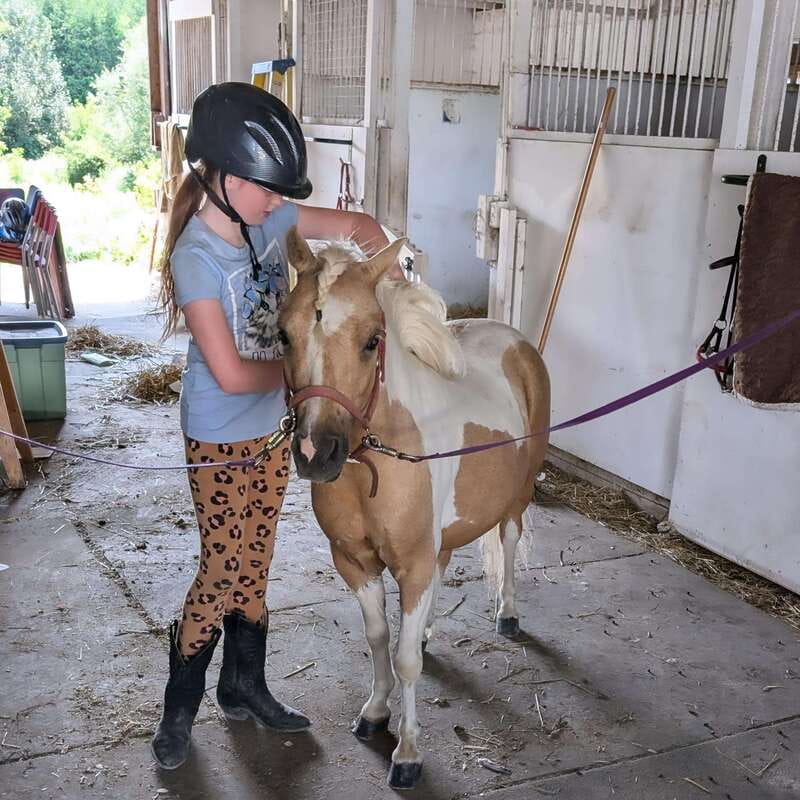 Omemee: A Playdate With a Pony | Travel Buddies