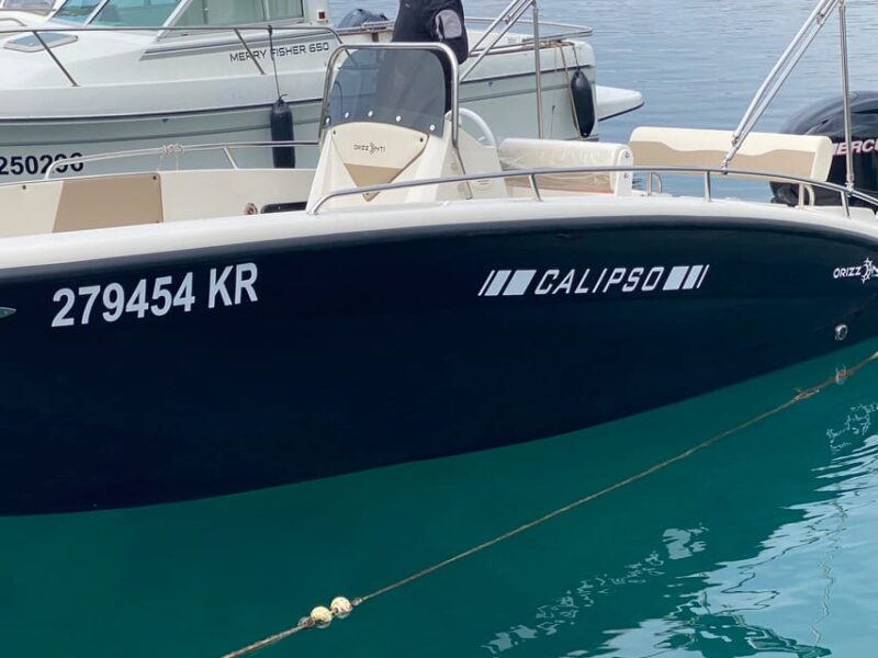 Panorama Boat Tour | Travel Buddies