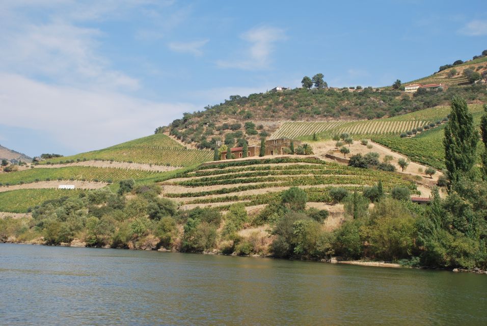 Pinhão: 2-Hour Rabelo Boat Tour With Audio Guide | Travel Buddies