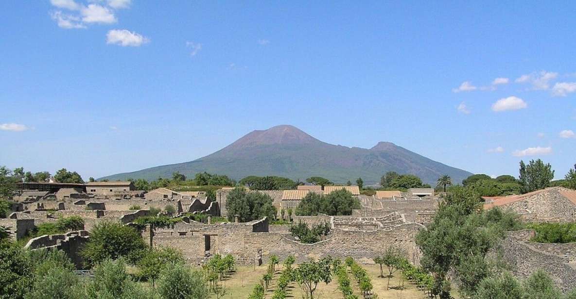 Pompeii With Wine Tasting Private Tour | Travel Buddies