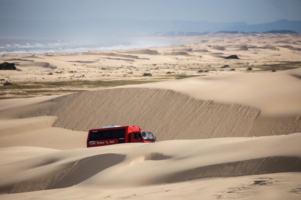 Port Stephens: Unlimited Sandboarding Adventure | Travel Buddies