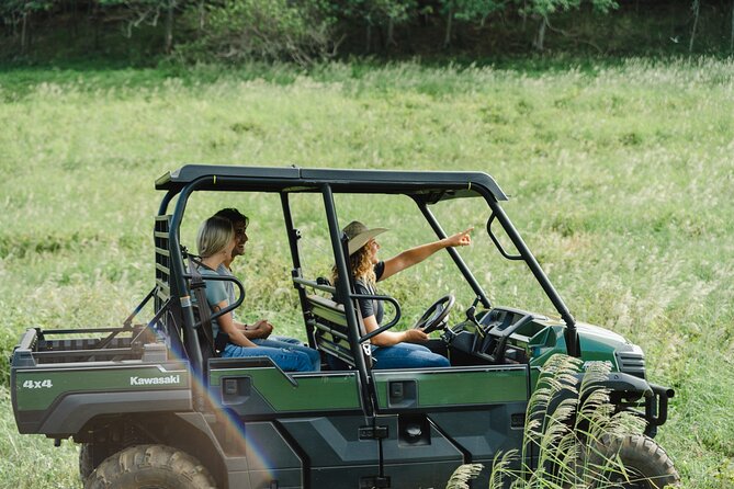 Private Off-Road Adventure Tour | Travel Buddies