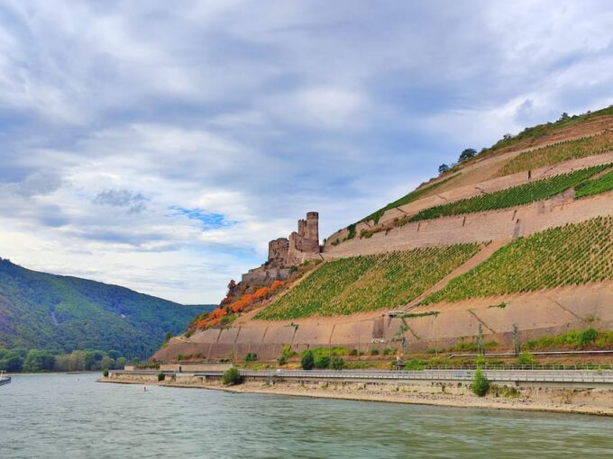 Private UNESCO Rhine Valley Tour With Boat Trip and Wine Tasting ...