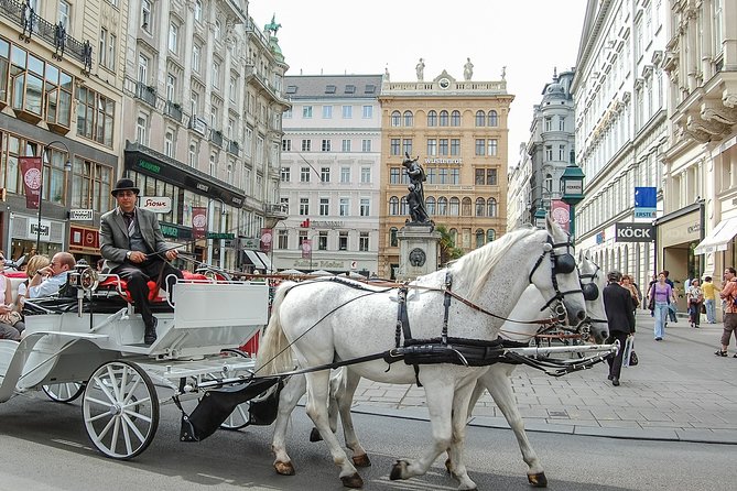 Private Vienna City Tour With Schonbrunn Palace Visit | Travel Buddies