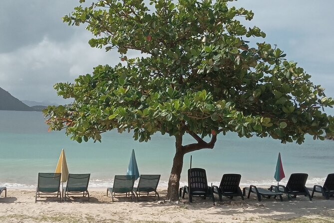 Relaxing Pigeon Island Beach Day Group Tour | Travel Buddies