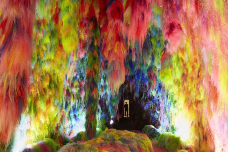 Reykjavík: Multi-Sensory Art Installation Chromo Sapiens | Travel Buddies