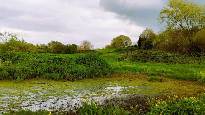 Rome: Caffarella Park Guided Walking Tour | Travel Buddies