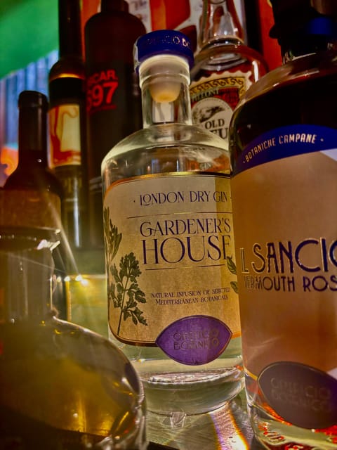 Rome Vatican Area: Italian Gin Tasting | Travel Buddies