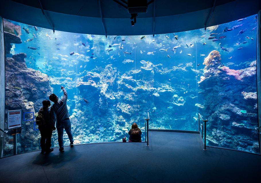 San Francisco: California Academy of Sciences Entry Ticket | Travel Buddies