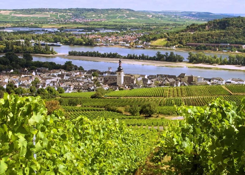 Sip Wine Along the Rhine - Grape Day out from Frankfurt | Travel Buddies